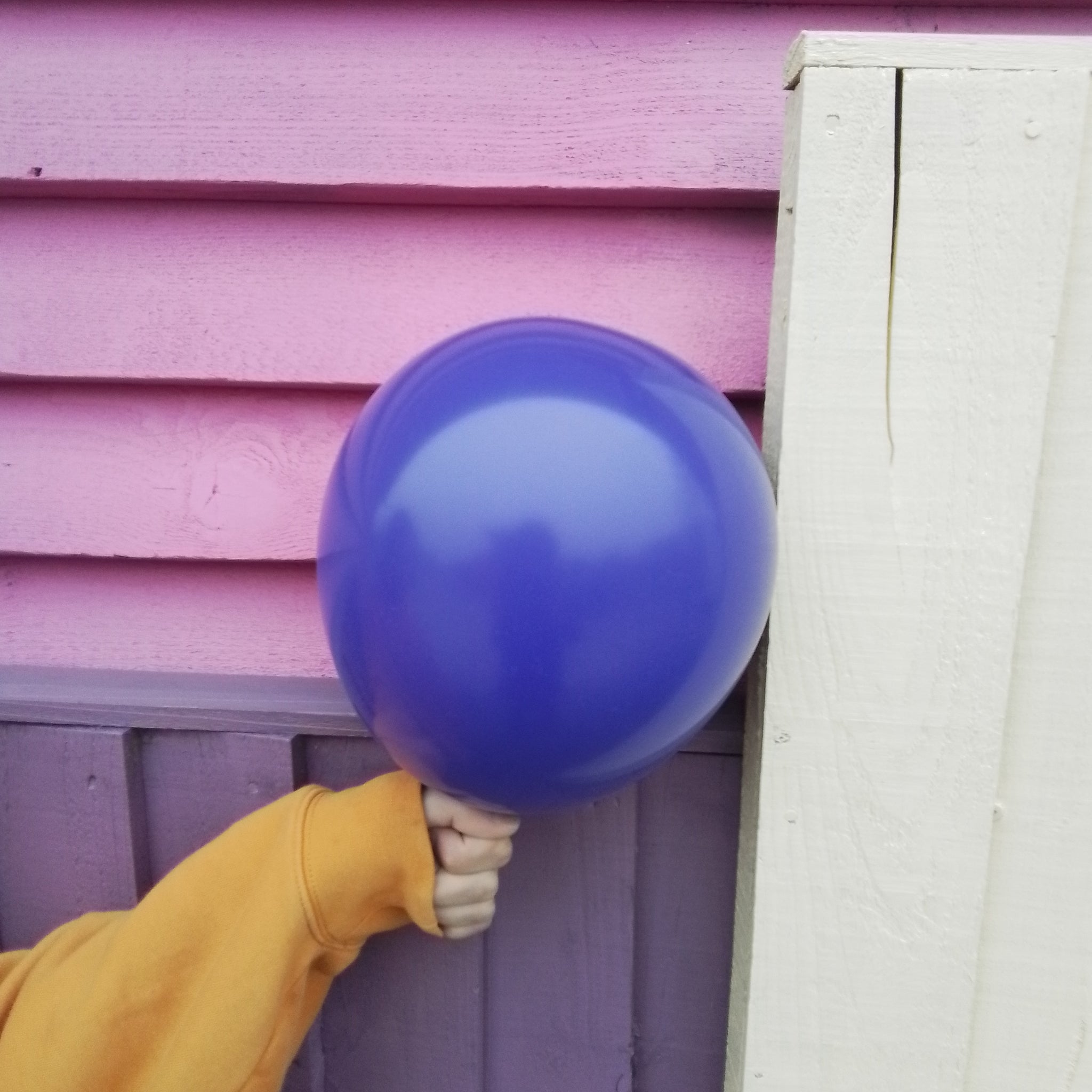 Kalisan Standard Violet – Pro Balloon Shop