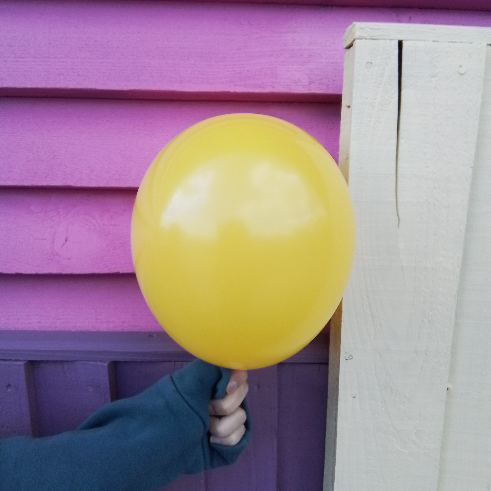 Gemar Mango Yellow #003 – Pro Balloon Shop